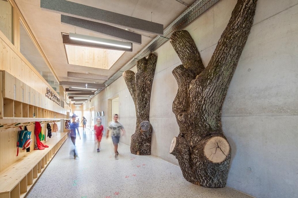 Ernst Mach - the great teacher of Albert Einstein | BRNOREGION